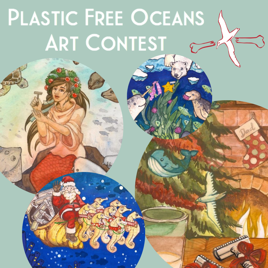 Plastic Free Oceans Art Contest – Albatross