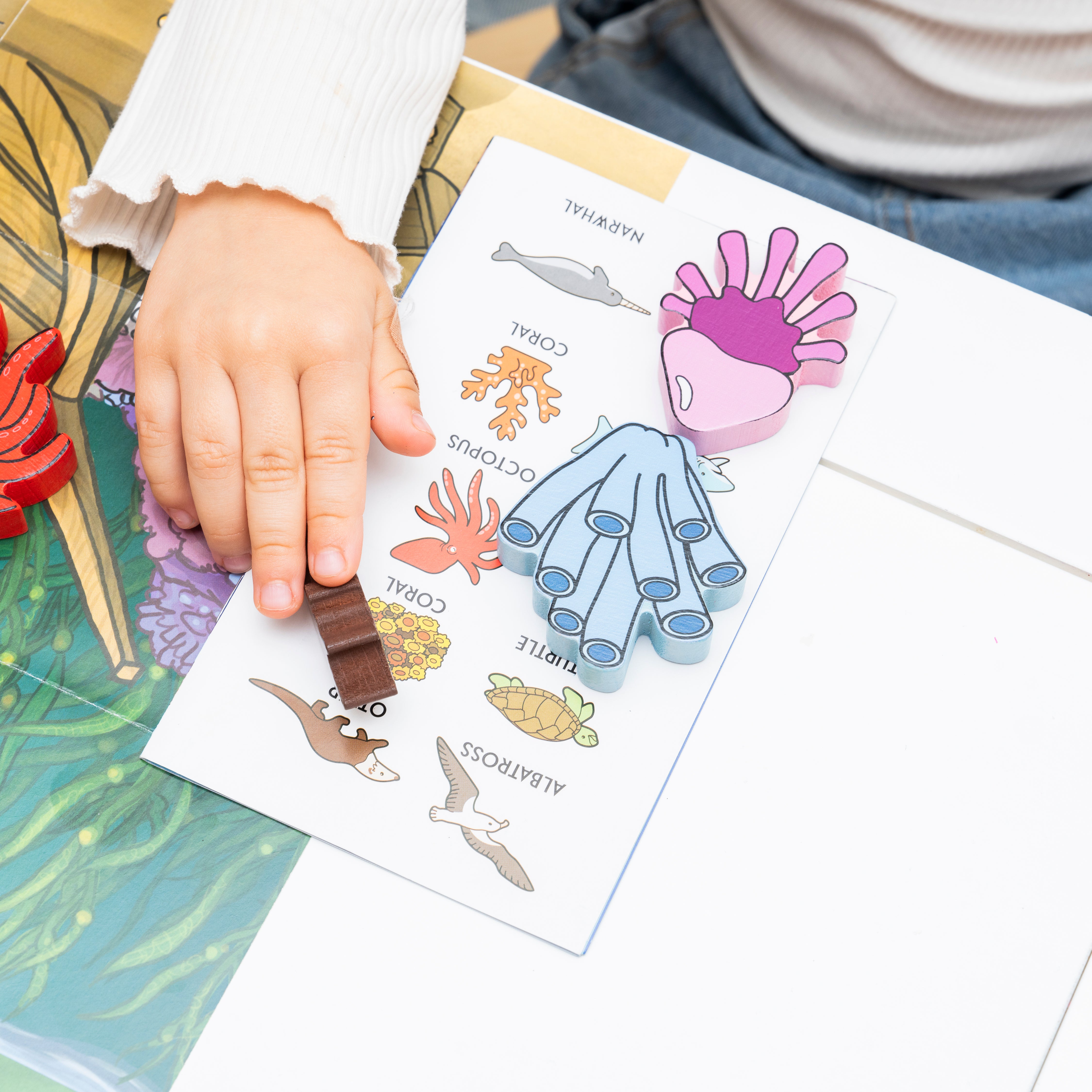 Ocean Animal Wooden Toy Set – Albatross