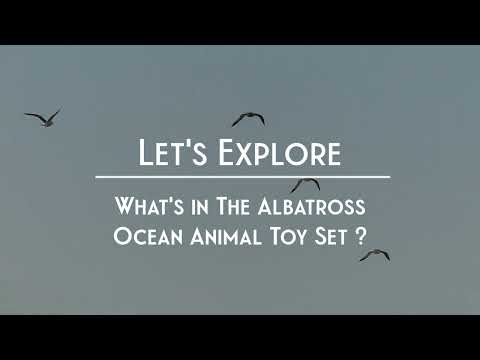 Ocean Animal Wooden Toy Set – Albatross
